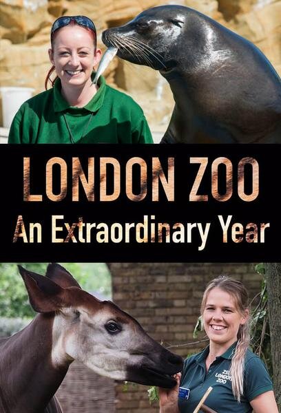 London Zoo: An Extraordinary Year 1 сезон даты выхода новых серий, когда выйдет — Кино и сериалы ...