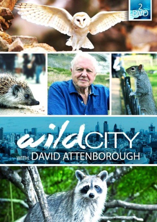 Wild City 1 сезон даты выхода новых серий, когда выйдет — Кино и ...