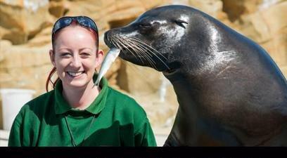 London Zoo: An Extraordinary Year 1 сезон даты выхода новых серий, когда выйдет — Кино и сериалы ...